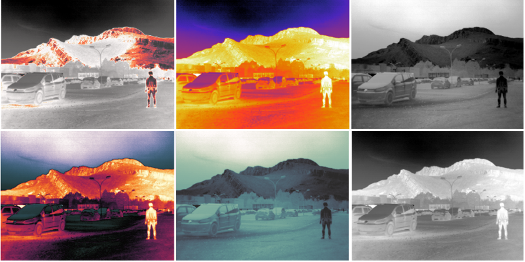 Expérience de perception sur des images infrarouges colorisées ...